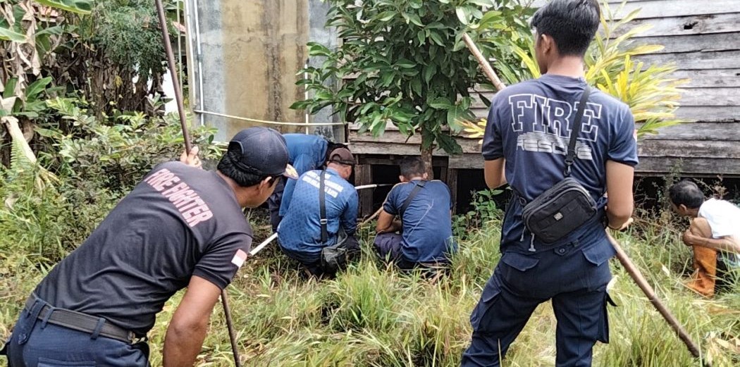 Tim Rescue 112 DPKP Palangka Raya Evakuasi King Kobra - Zona Kota